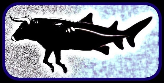 QUINOTAUR – Dragon at the End of Time